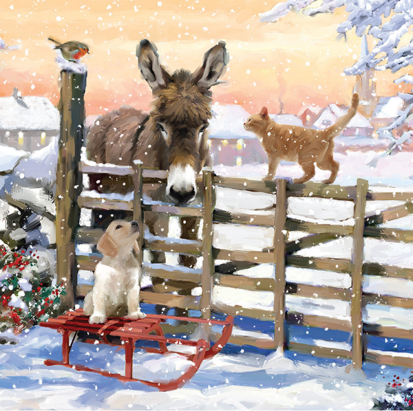 Donkey and Friends (Pack of 10 Cards) – Brooke Shop